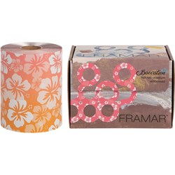 framar | Salon Only Sales